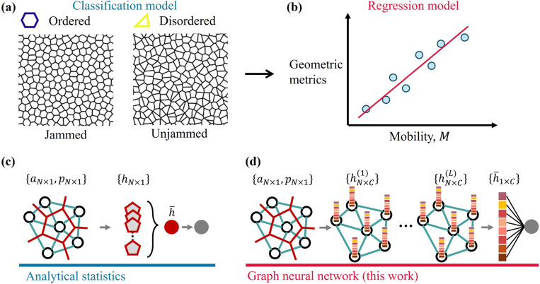 Learning Dynamics from Multicellular Graphs with Deep Neural Networks - PMC