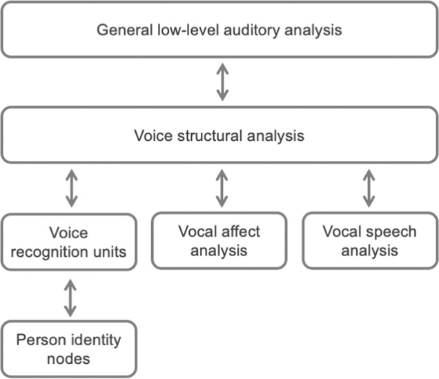A model for person perception from familiar and unfamiliar voices - PMC