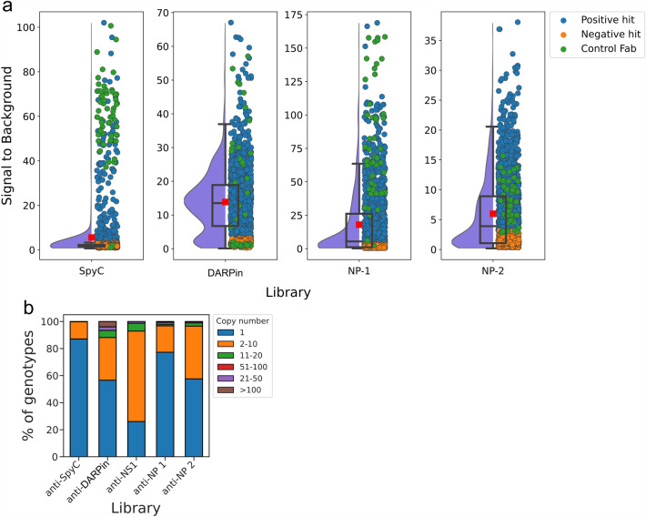 Genotyped functional screening of soluble Fab clones enables in-depth ...