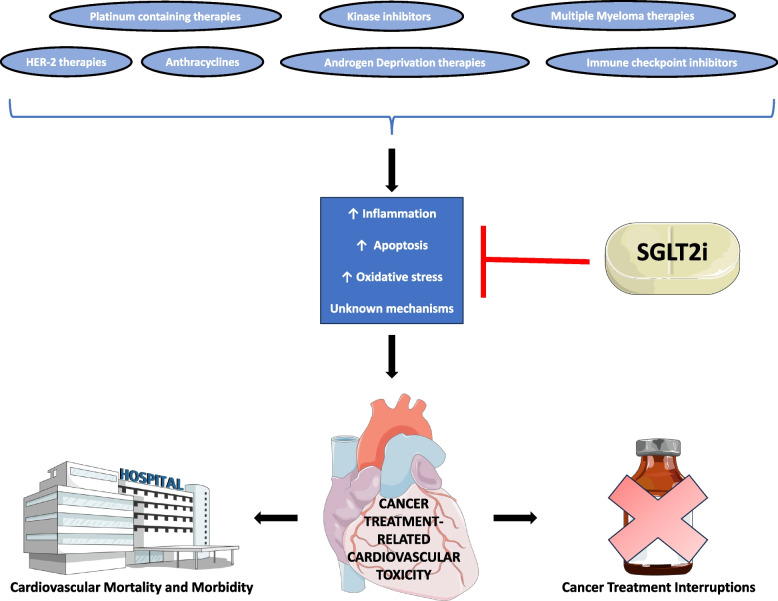 SGLT2 inhibitors for prevention and management of cancer treatment-related cardiovascular ...