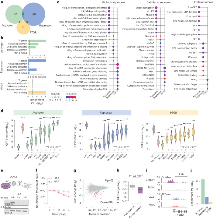 Proteome-scale tagging and functional screening in mammalian cells by ...