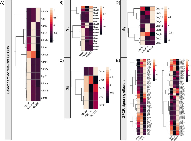 Comparing The Signaling And Transcriptome Profiling Landscapes Of Human