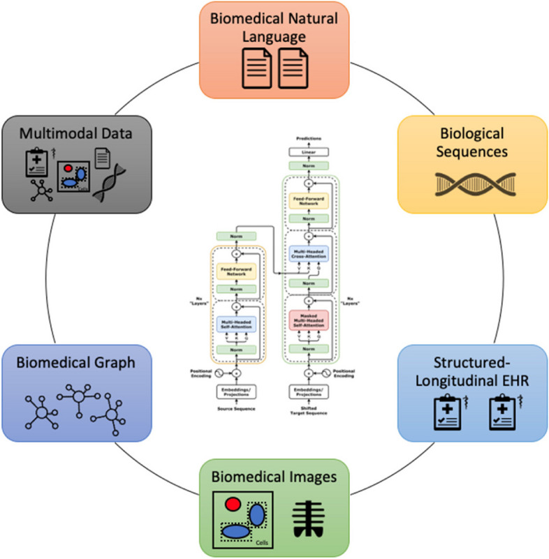 Transformer models in biomedicine - PMC