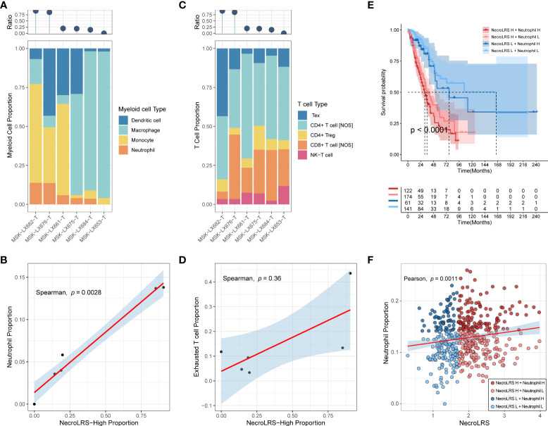 Necroptosis-related lncRNAs: Combination of bulk and single-cell sequencing reveals immune ...