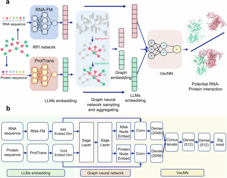 RNA-protein interaction prediction using network-guided deep learning - PMC