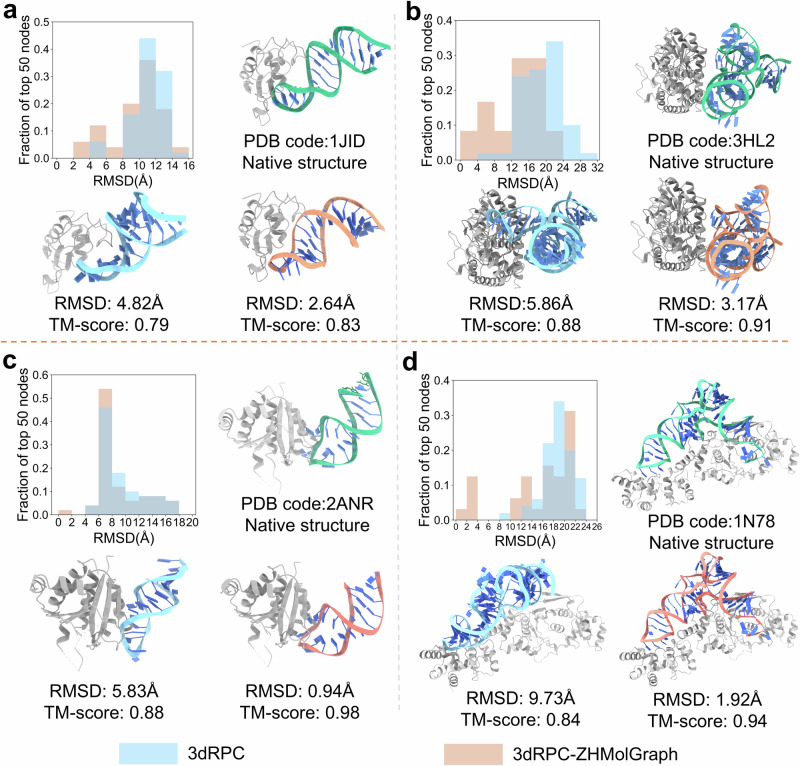 RNA-protein interaction prediction using network-guided deep learning - PMC