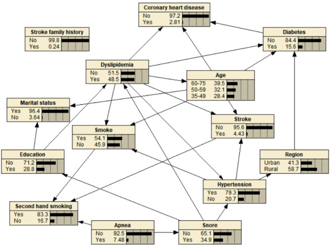Exploring stroke risk factors in different genders using Bayesian networks: a cross-sectional ...