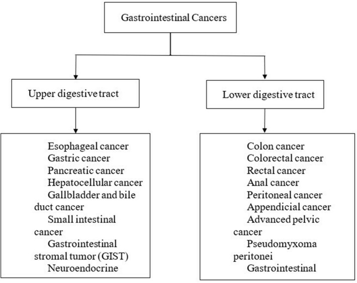 Artificial intelligence in pancreatic cancer: diagnosis, limitations ...