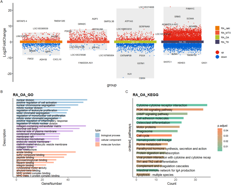 Therapeutic gene targets and epigenetic modifications in rheumatoid arthritis: Insights from MTX ...