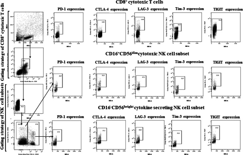 High co-expression of immune checkpoint receptors PD-1, CTLA-4, LAG-3, TIM-3, and TIGIT on tumor ...