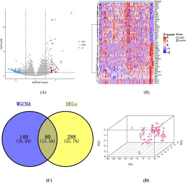 Transcriptome analysis based on machine learning reveals a role for autoinflammatory genes of ...