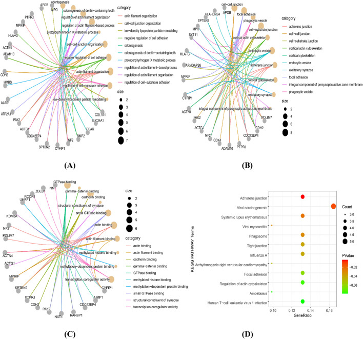 Transcriptome analysis based on machine learning reveals a role for autoinflammatory genes of ...