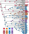 Fig. 2.