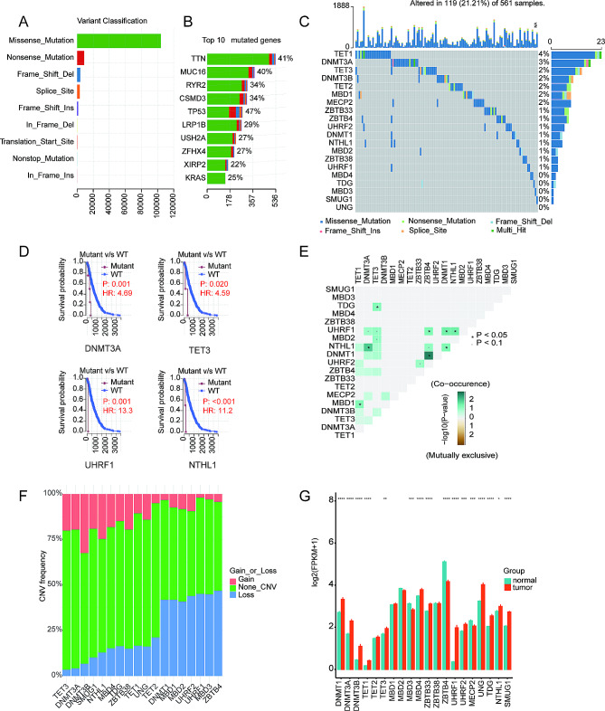 Comprehensive analysis reveals the prognostic and immunogenic characteristics of DNA methylation ...