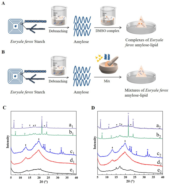 Comparative study on structural characterization, physicochemical properties, and in vitro ...