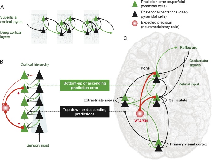 Predictions, perception, and a sense of self - PMC Predictions, perception, and a sense of self - PMC