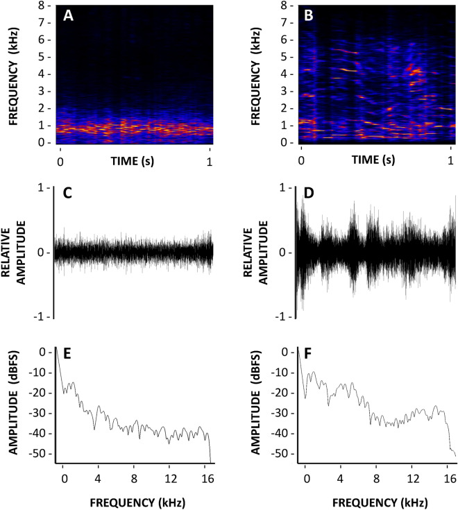 Behavioral responses of the European mink in the face of different ...