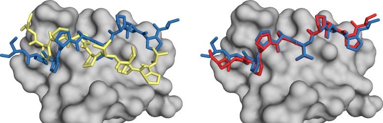 Using parallelized incremental meta-docking can solve the conformational sampling issue when ...