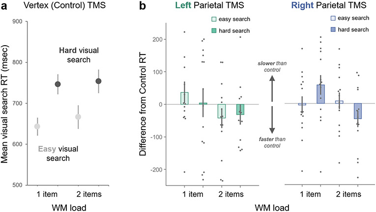 Hemisphere-specific parietal contributions to the interplay between working memory and attention ...