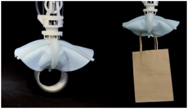 Octopus-Inspired Underwater Soft Robotic Gripper with Crawling and Swimming Capabilities - PMC