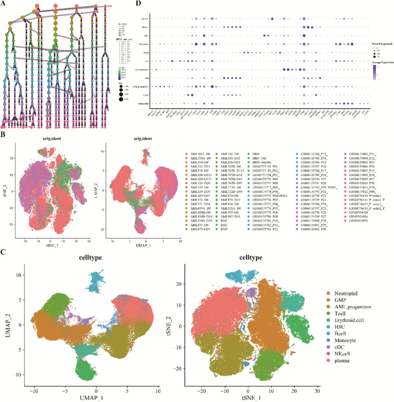 Spatiotemporal evolution of AML immune microenvironment remodeling and RNF149-driven drug ...