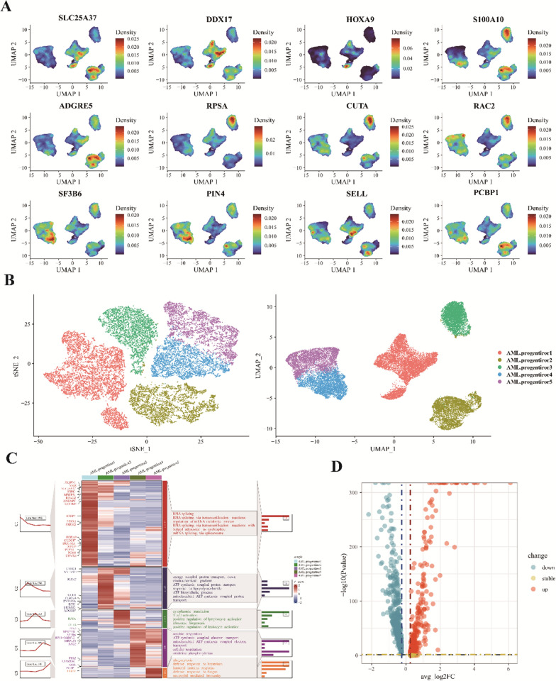 Spatiotemporal evolution of AML immune microenvironment remodeling and RNF149-driven drug ...