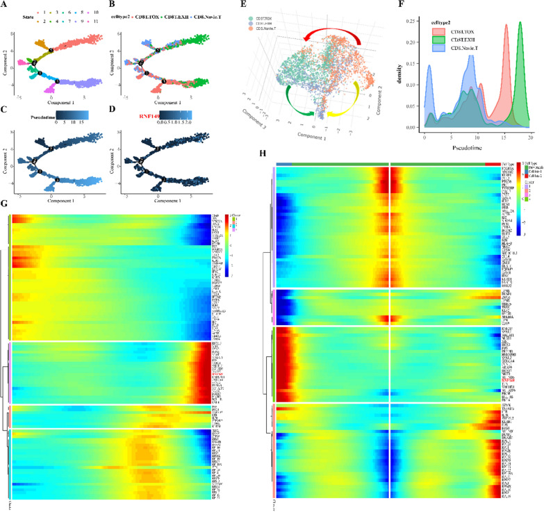Spatiotemporal evolution of AML immune microenvironment remodeling and RNF149-driven drug ...