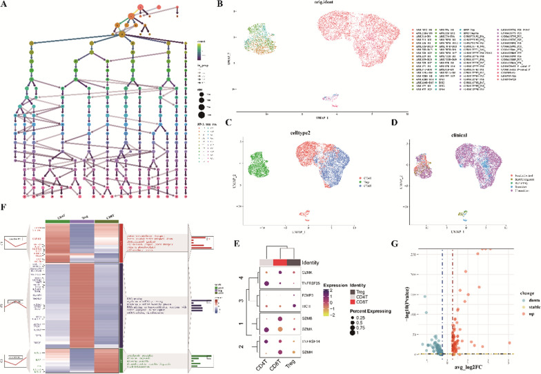 Spatiotemporal evolution of AML immune microenvironment remodeling and RNF149-driven drug ...
