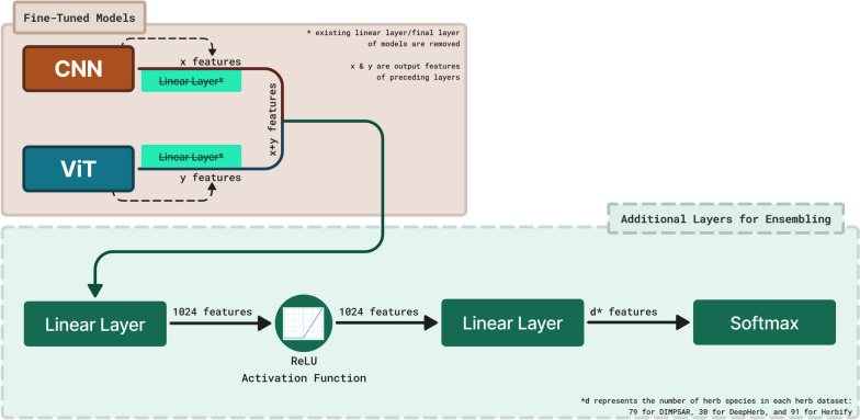 Herbify: an ensemble deep learning framework integrating convolutional ...