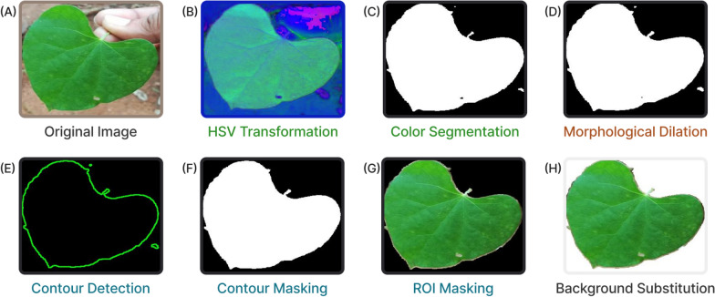 Herbify: an ensemble deep learning framework integrating convolutional ...