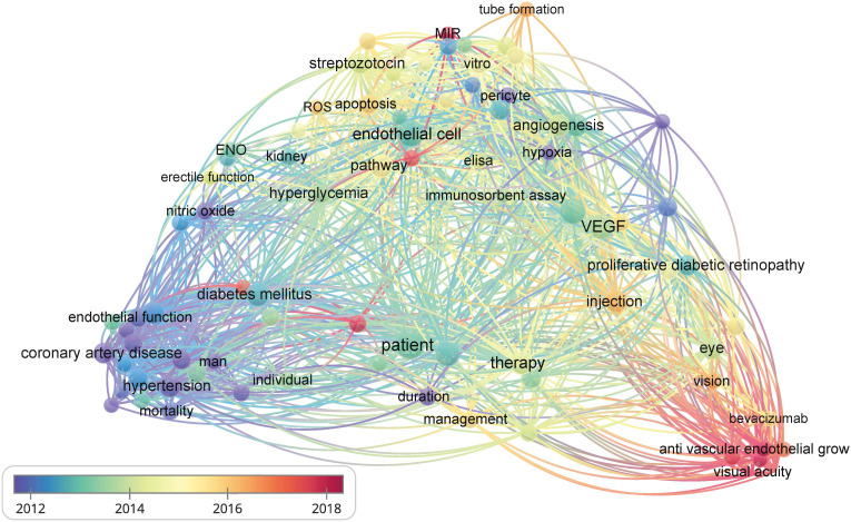 Endothelial Dysfunction In Vascular Complications Of Diabetes A