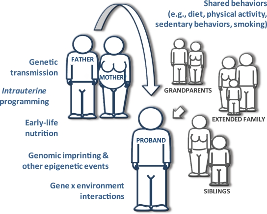 Diabetes Family History: A Metabolic Storm You Should Not Sit Out - PMC Diabetes Family History: A Metabolic Storm You Should Not Sit Out - PMC