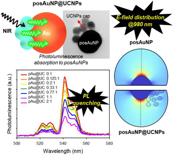 Upconverting-photon quenching-mediated perforation influx as an intracellular delivery method ...