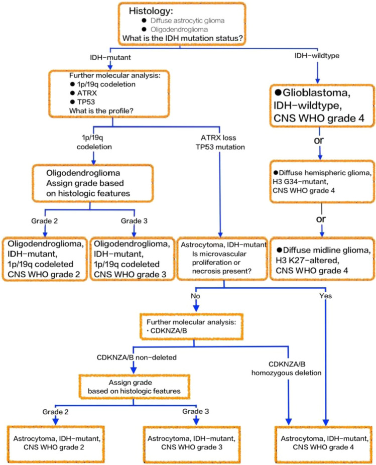 Unlocking new horizons: advances in treating IDH-mutant, 1p/19q-codeleted oligodendrogliomas - PMC