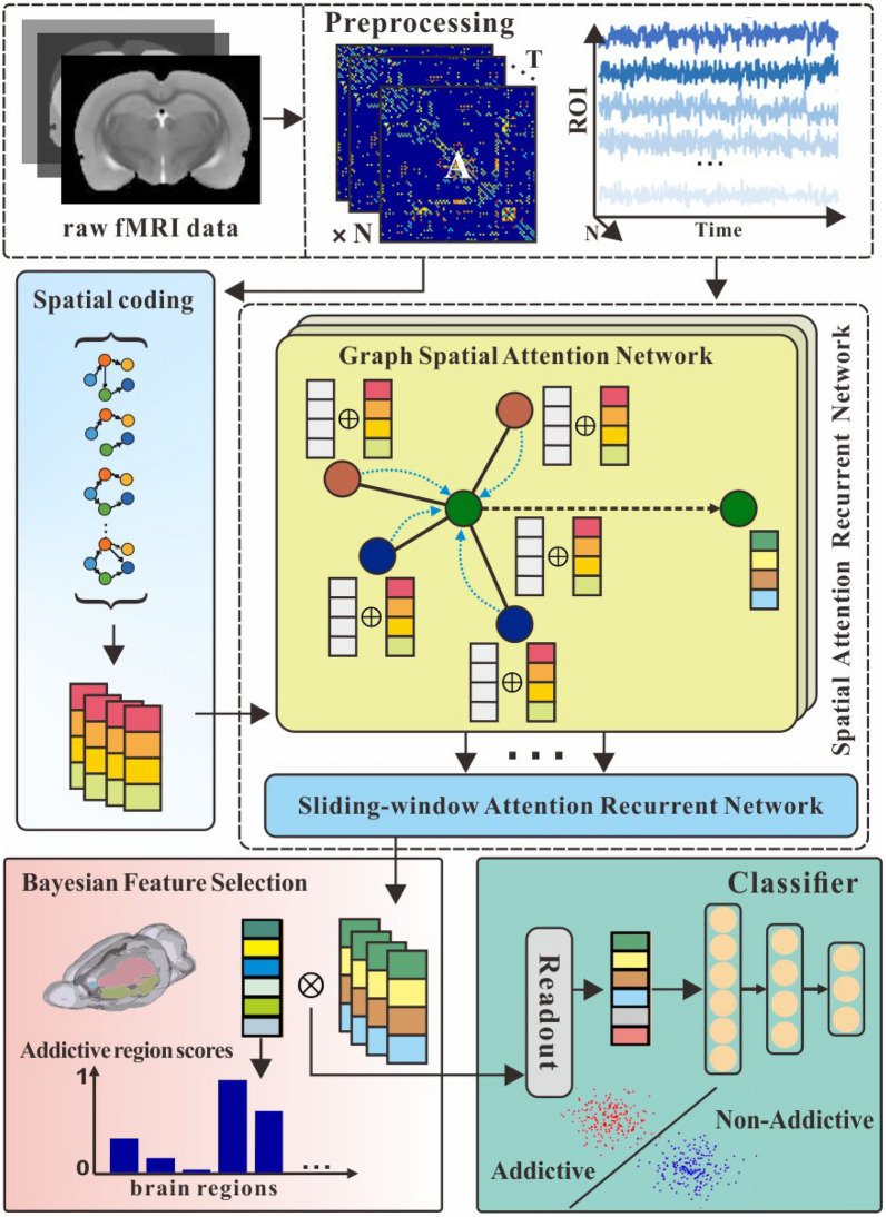 Addictive brain-network identification by spatial attention recurrent network with feature ...