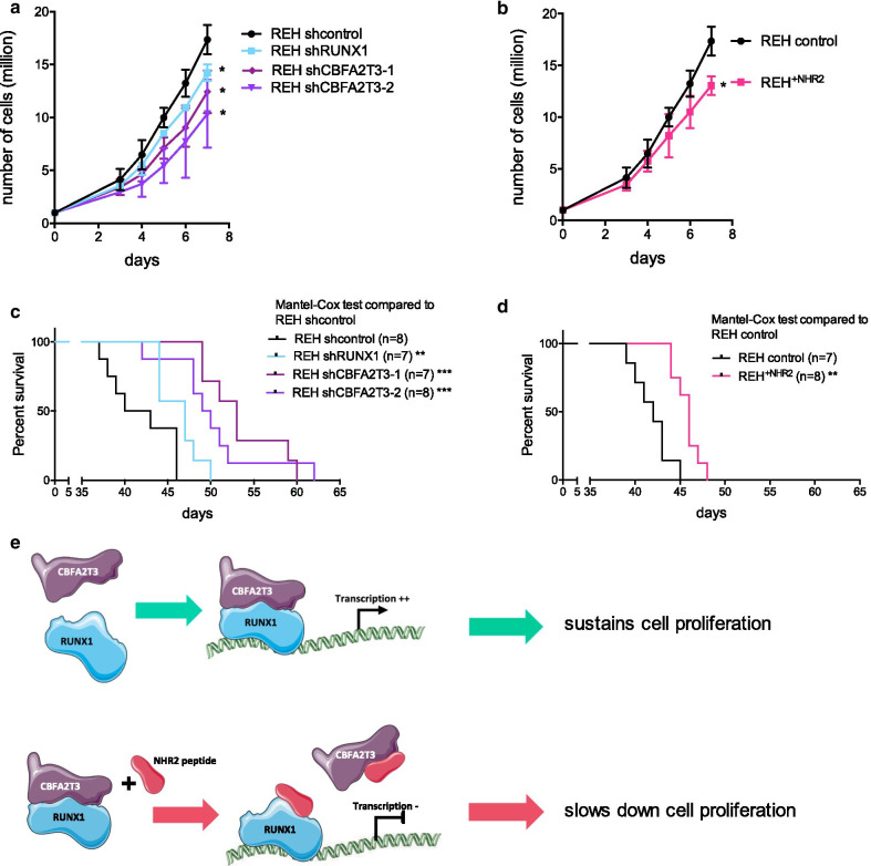 Reduction of RUNX1 transcription factor activity by a CBFA2T3-mimicking peptide: application to ...