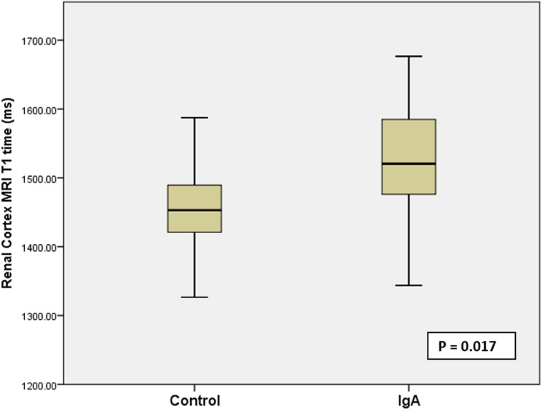Association between native T1 mapping of the kidney and renal fibrosis in patients with IgA ...