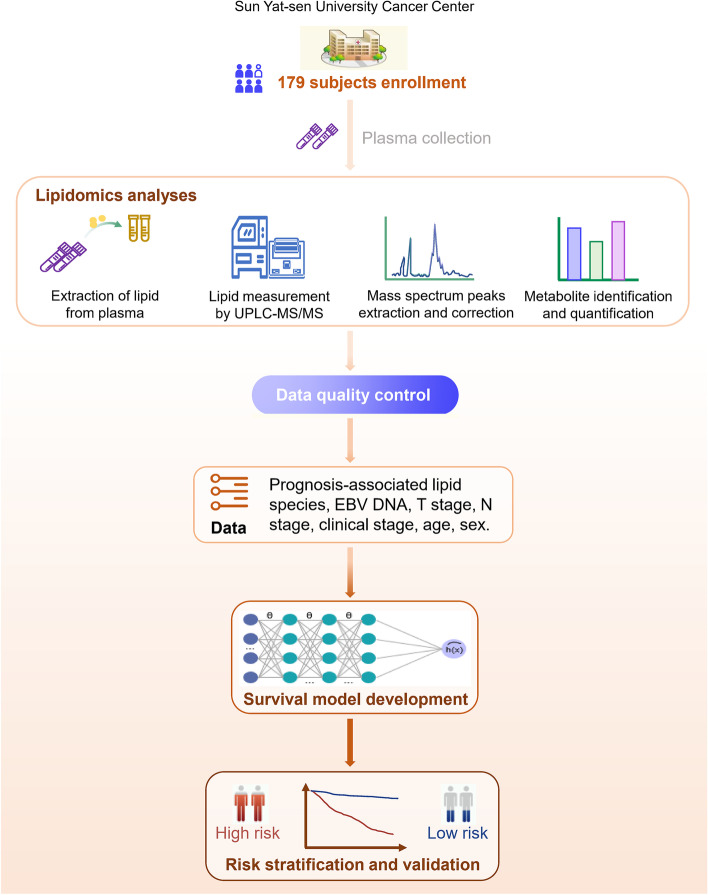 Widely targeted quantitative lipidomics and prognostic model reveal ...