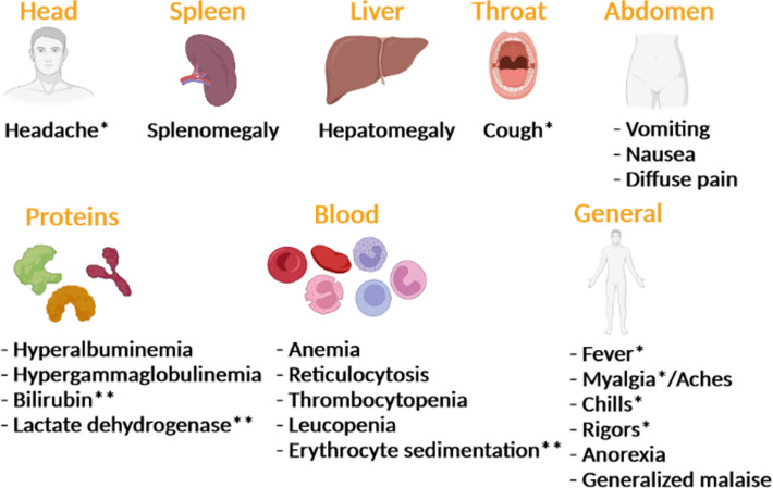 Plasmodium cynomolgi in humans: current knowledge and future directions ...