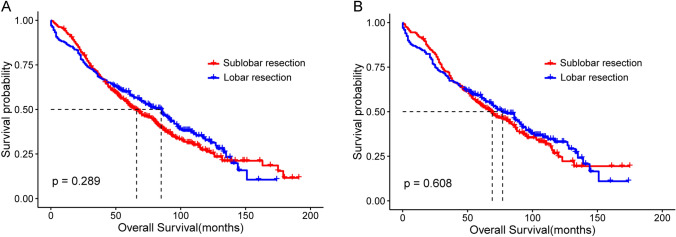 Lobar Or Sublobar Resection For Early Stage Second Primary Lung Cancer ≤ 3 Cm In Size A Seer