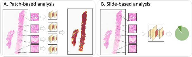 Deep learning-based framework for slide-based histopathological image analysis - PMC