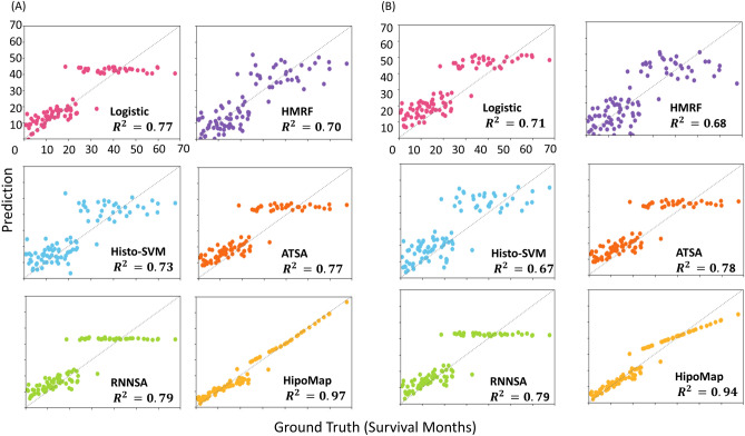 Deep learning-based framework for slide-based histopathological image analysis - PMC