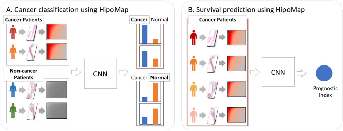 Deep learning-based framework for slide-based histopathological image analysis - PMC