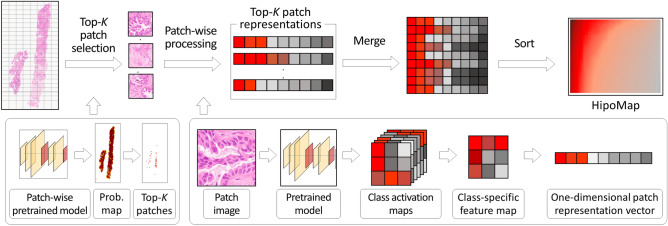 Deep learning-based framework for slide-based histopathological image analysis - PMC