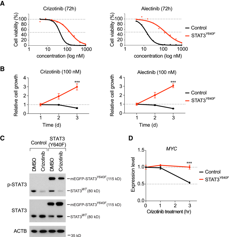 STAT3 couples activated tyrosine kinase signaling to the oncogenic core transcriptional ...
