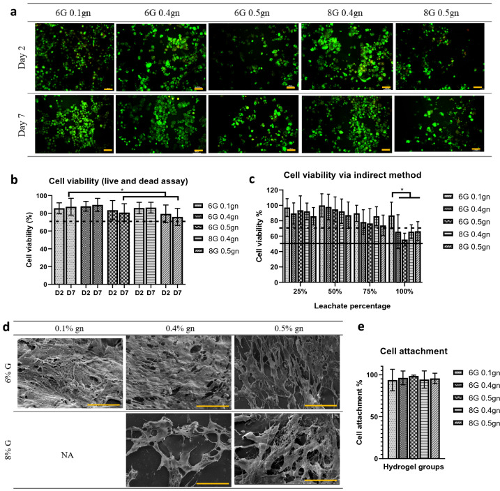 In vitro evaluation of genipin-crosslinked gelatin hydrogels for vocal fold injection - PMC