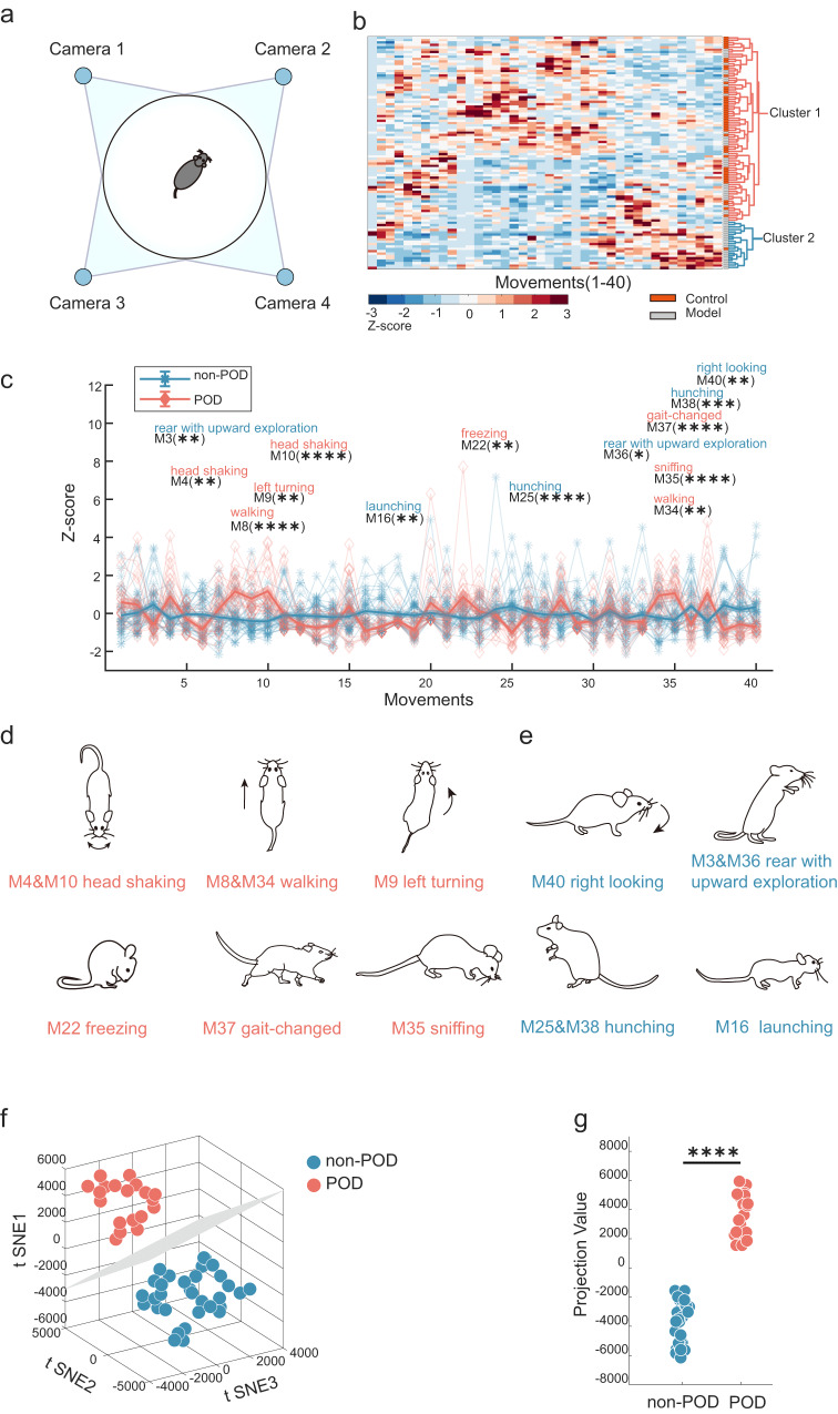 Automated phenotyping of postoperative delirium-like behaviour in mice reveals the therapeutic ...