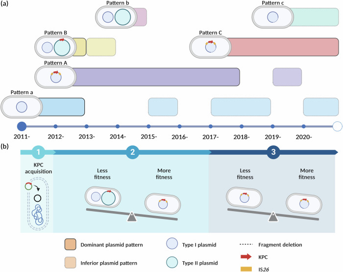 Decadal Evolution of KPC-related plasmids in Pseudomonas aeruginosa high-risk clone ST463 in ...