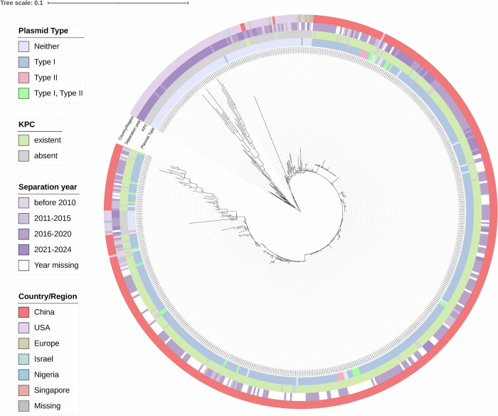 Decadal Evolution of KPC-related plasmids in Pseudomonas aeruginosa high-risk clone ST463 in ...