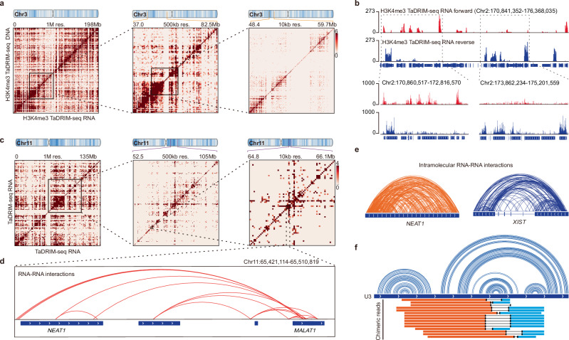 Simultaneous profiling of chromatin-associated RNA at targeted DNA loci and RNA-RNA Interactions ...